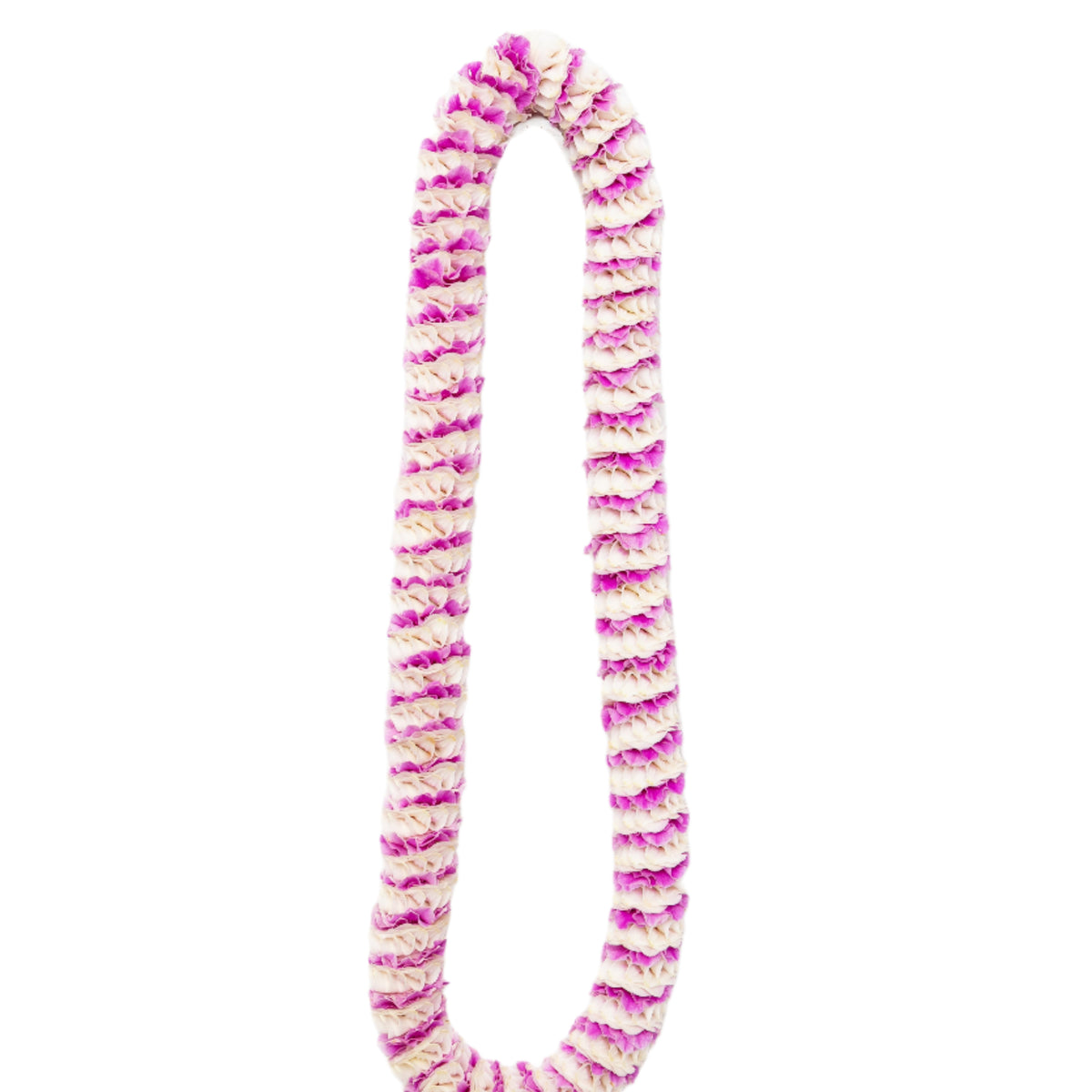 LT Aloha Series | Hardy Orchid Lei | Hawaii Leis – The Orchid Lei Company