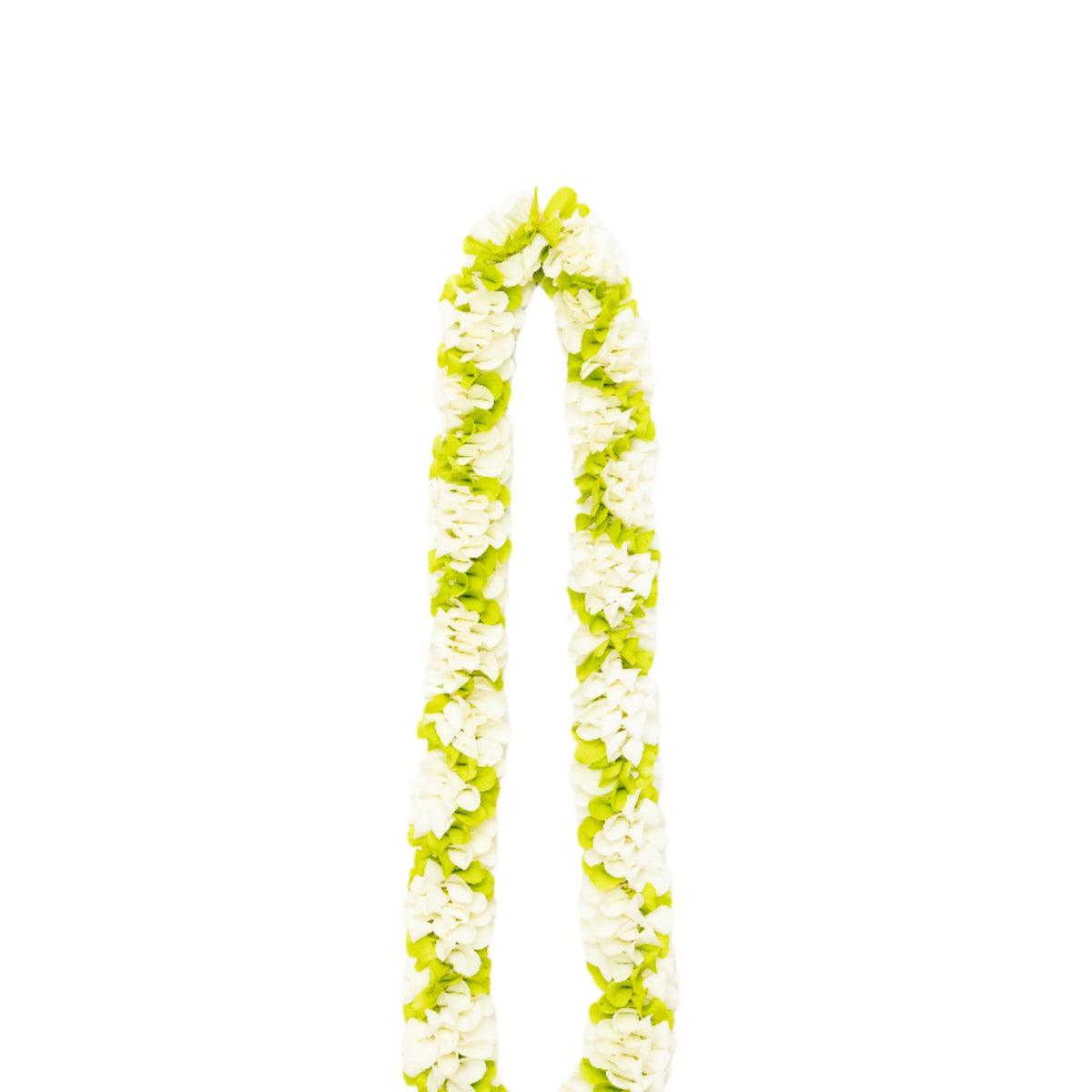 OLE Series | Playful Pattern Orchid Lei | Hawaii Leis – The Orchid Lei ...