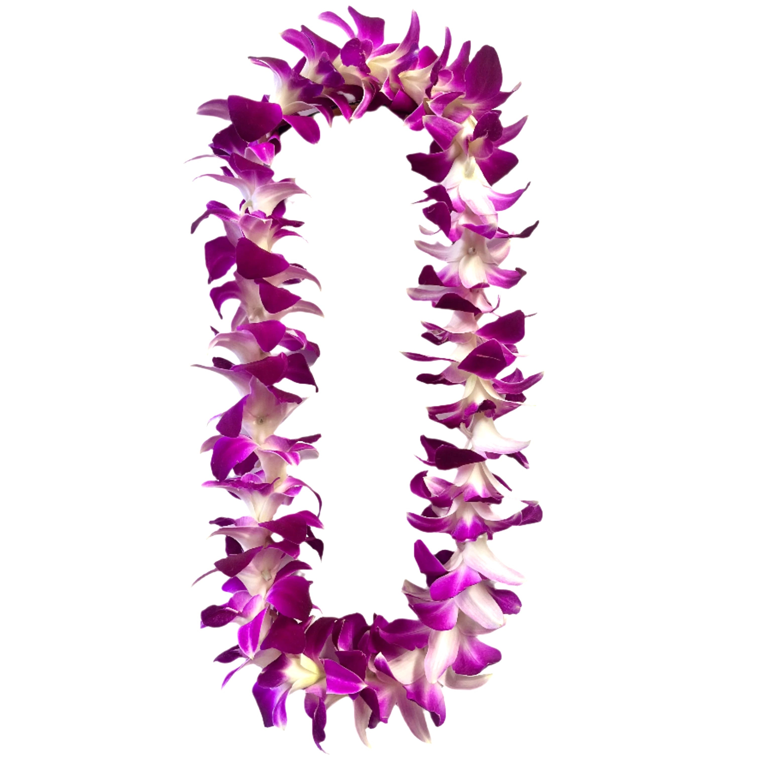 Leis | Fresh Floral Lei | Hawaii Leis – The Orchid Lei Company