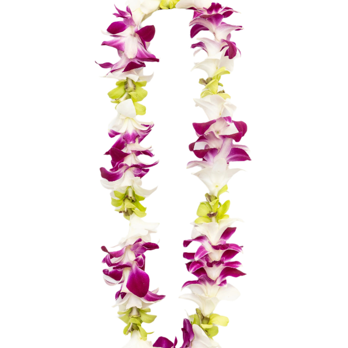 Single Island Mix | Tropical Blend Orchid Lei | Hawaii Leis – The ...