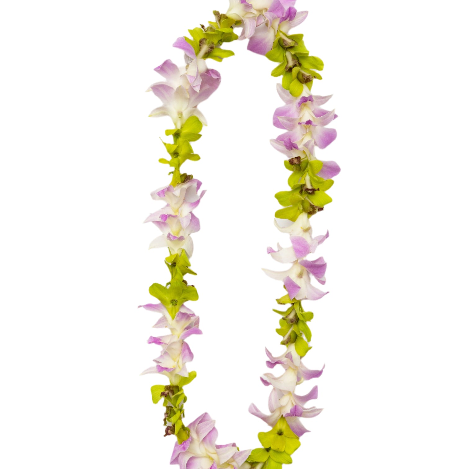 Wholesale | Bulk Orchid Leis | Hawaii Leis – The Orchid Lei Company