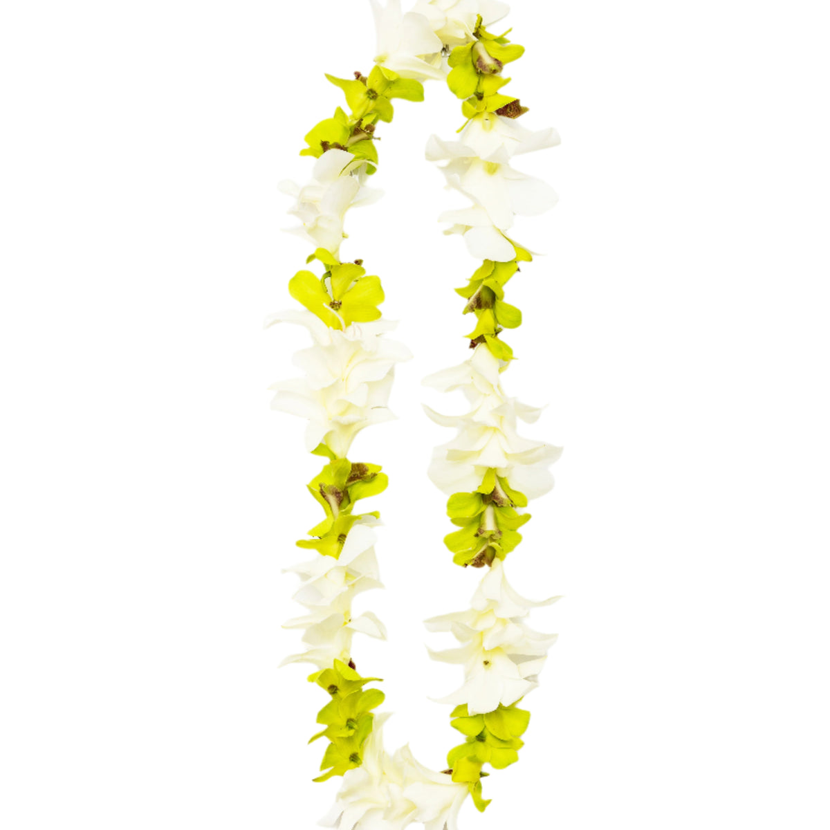 Single White/Jade | Classic Single Strand Lei | Hawaii Leis – The ...
