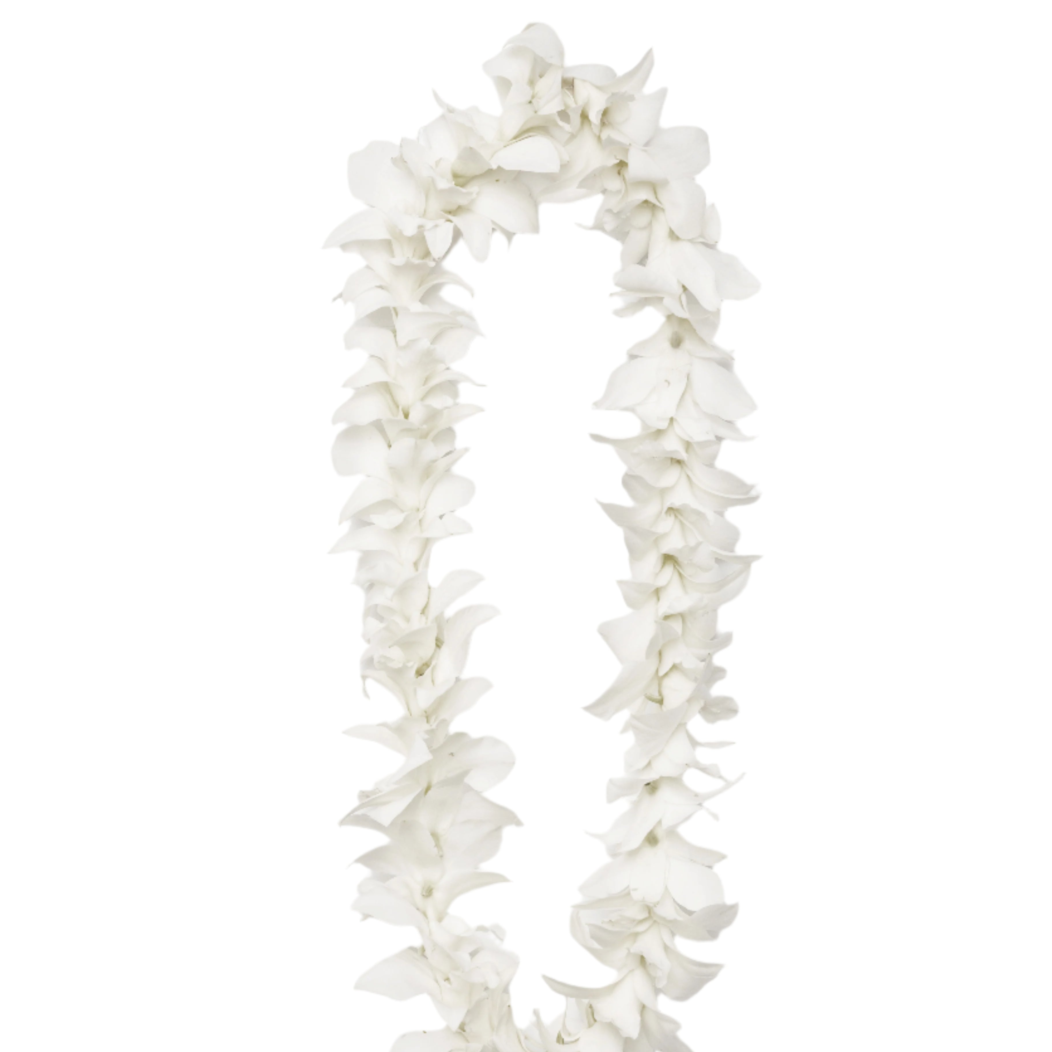 Wholesale | Bulk Orchid Leis | Hawaii Leis – The Orchid Lei Company
