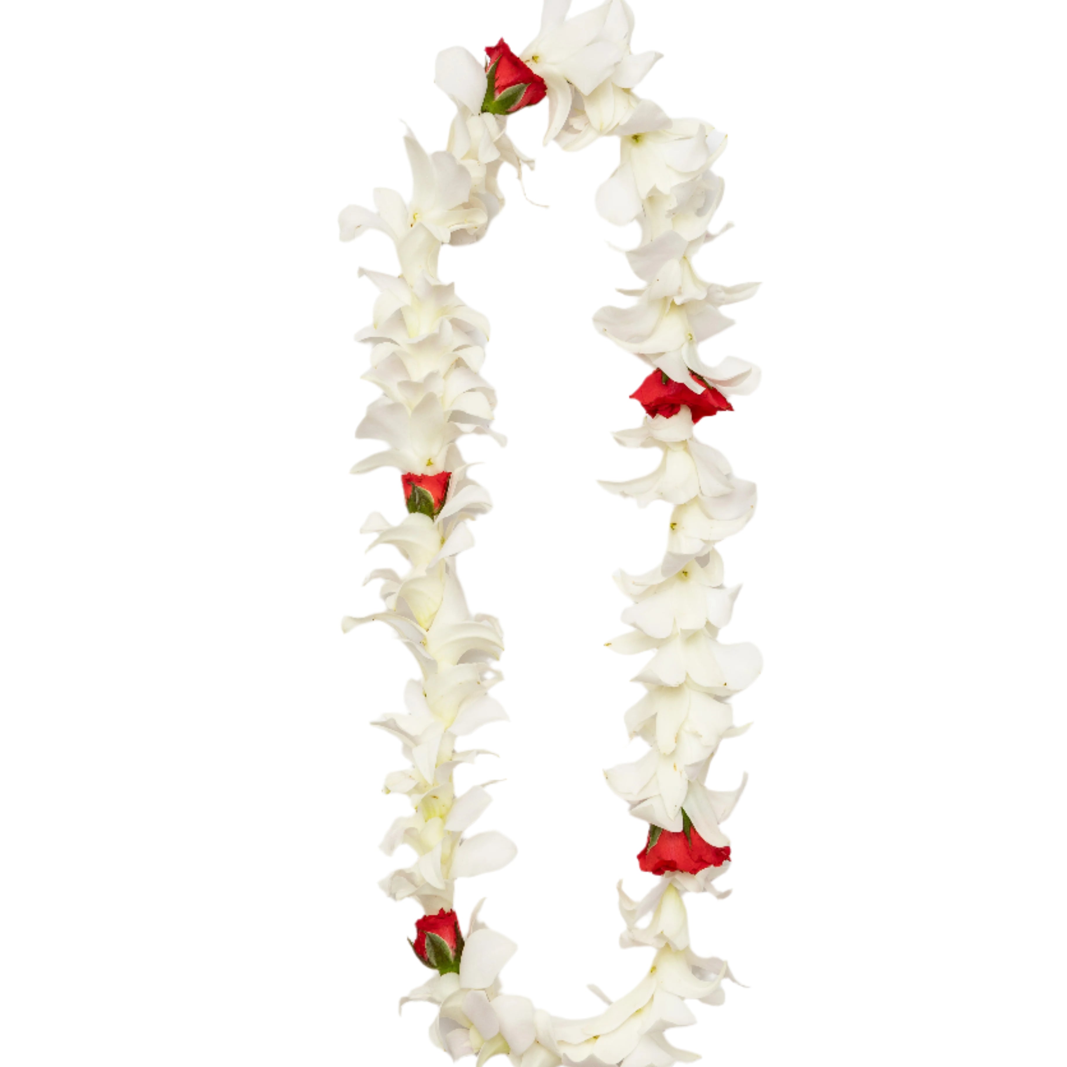 Wholesale | Bulk Orchid Leis | Hawaii Leis – The Orchid Lei Company
