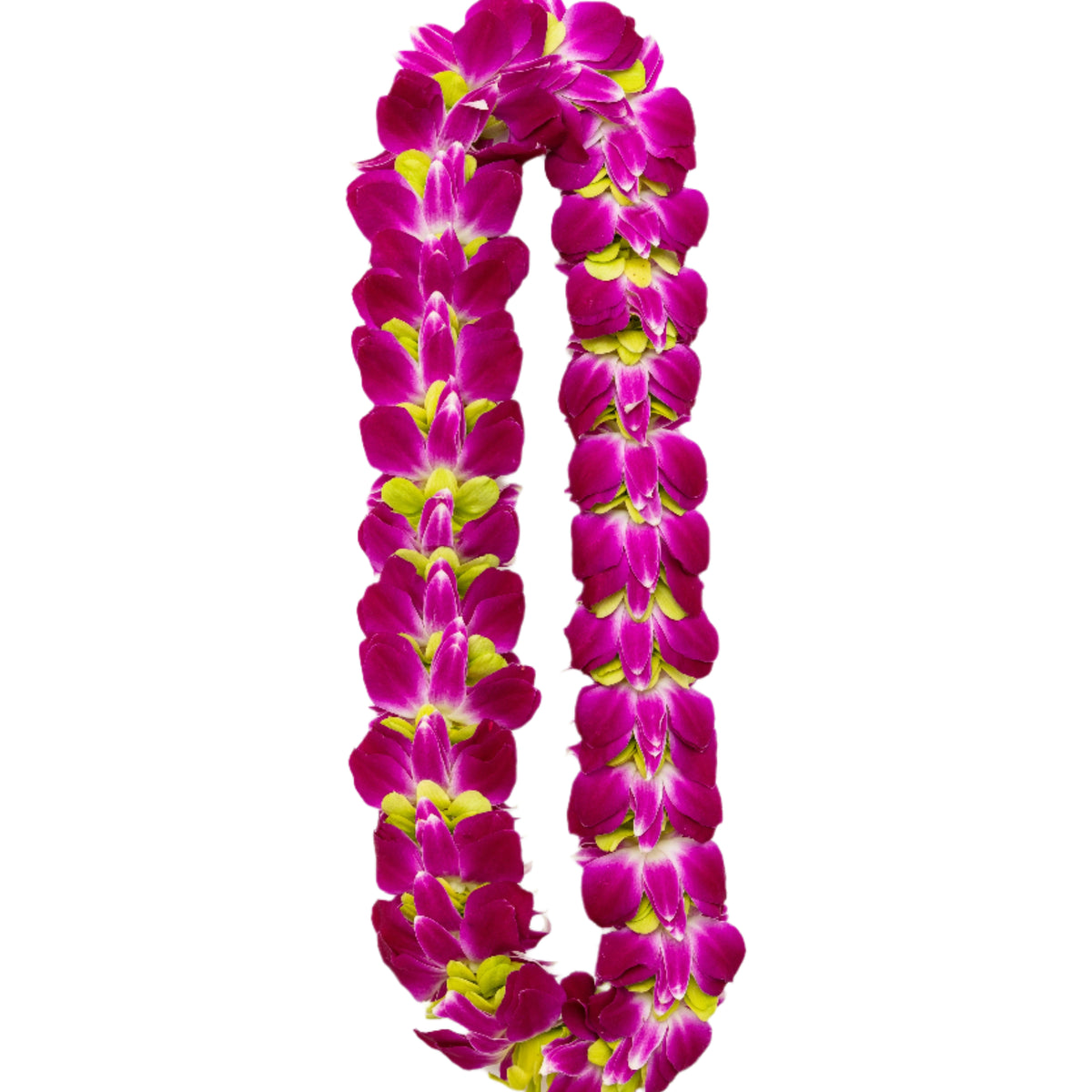 Sweetheart Series | Full Bloom Orchid Lei | Hawaii Leis – The Orchid ...
