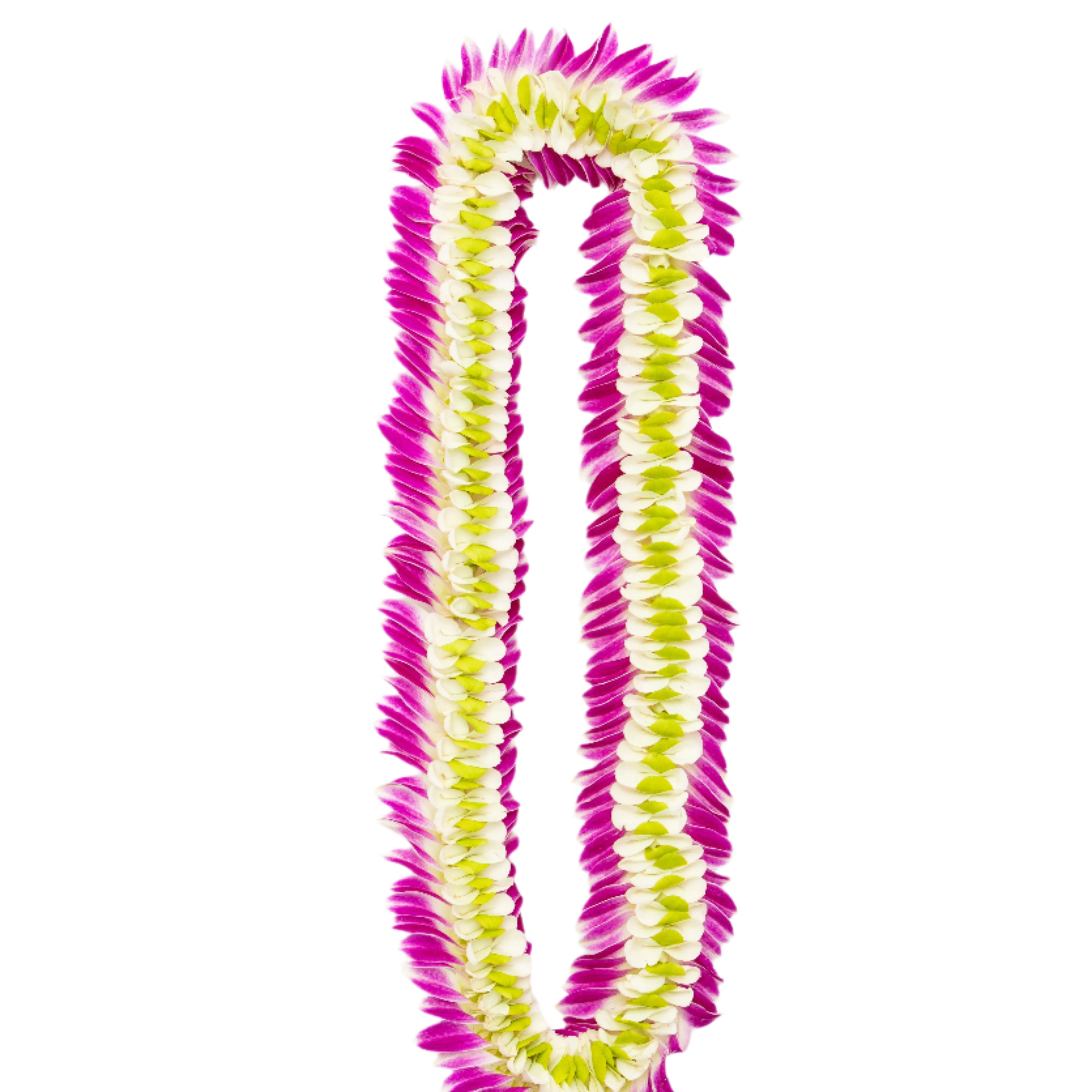 Wholesale | Bulk Orchid Leis | Hawaii Leis – The Orchid Lei Company